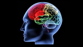 Inside Out: Art and the Brain | PPT