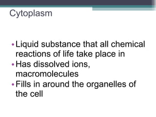 Inside the cell | PPT