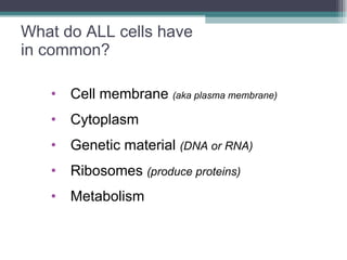 Inside the cell | PPT