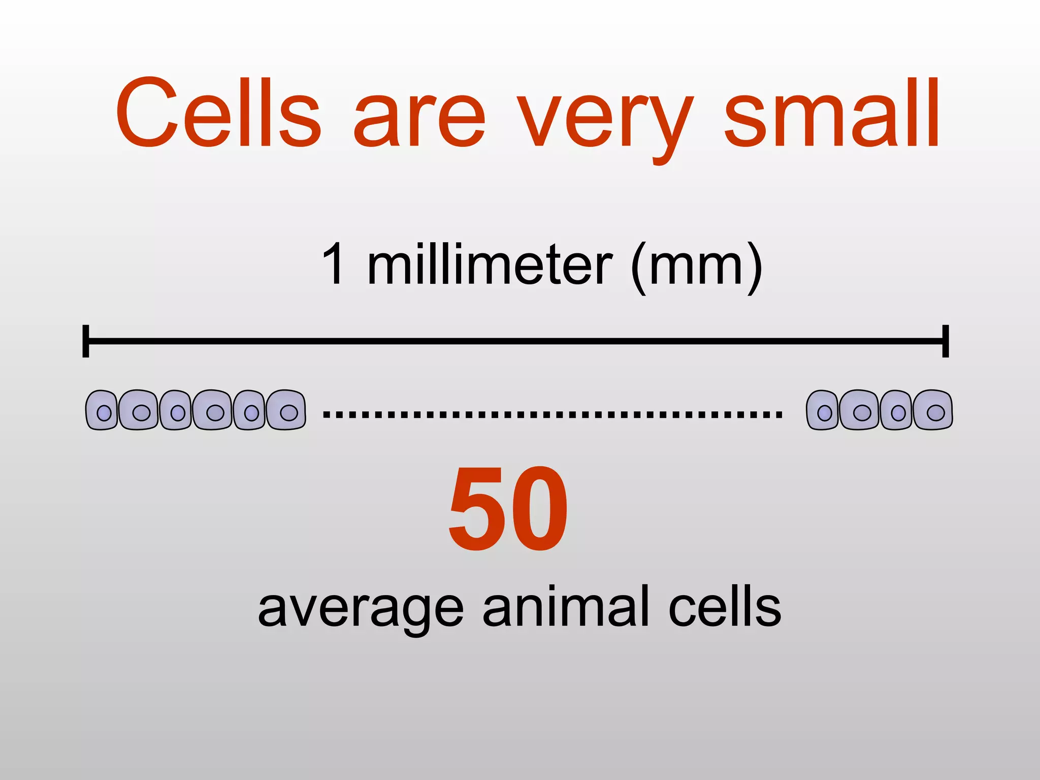 Inside The Cell | PPT