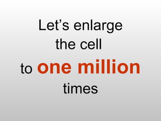 Inside The Cell | PPT