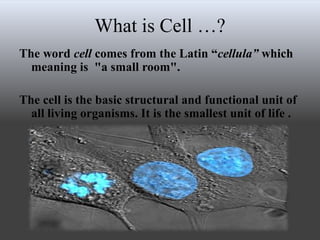 Inside the celll | PPTX | Biological Sciences | Science