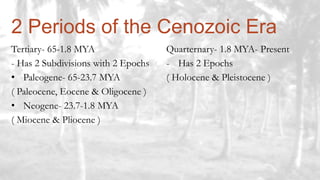 Inside the geologic time scale | PPTX | Reptiles | Pets