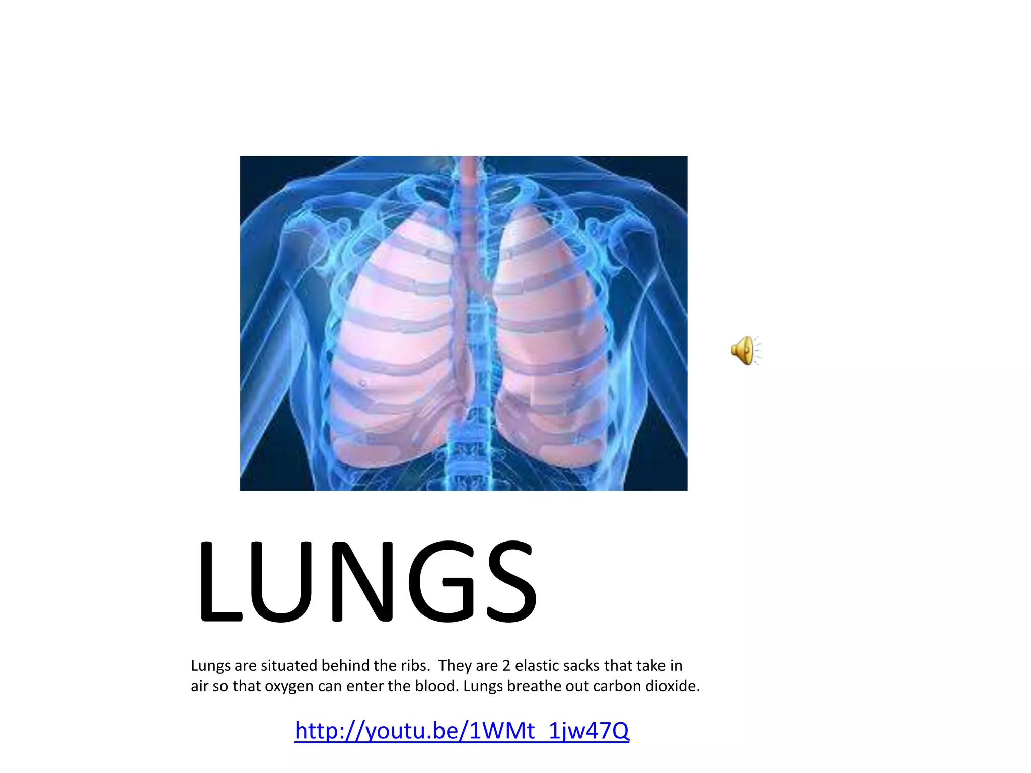 Inside the human body ACADEMIC LANGUAGE ESOL | PPTX | Heart and ...