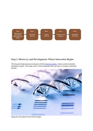 How does the Drug Development Process Works? 5 Stages | The ...