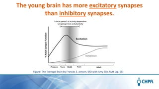 "Inside the Teen Brain: Is there An App for That?" | PPT