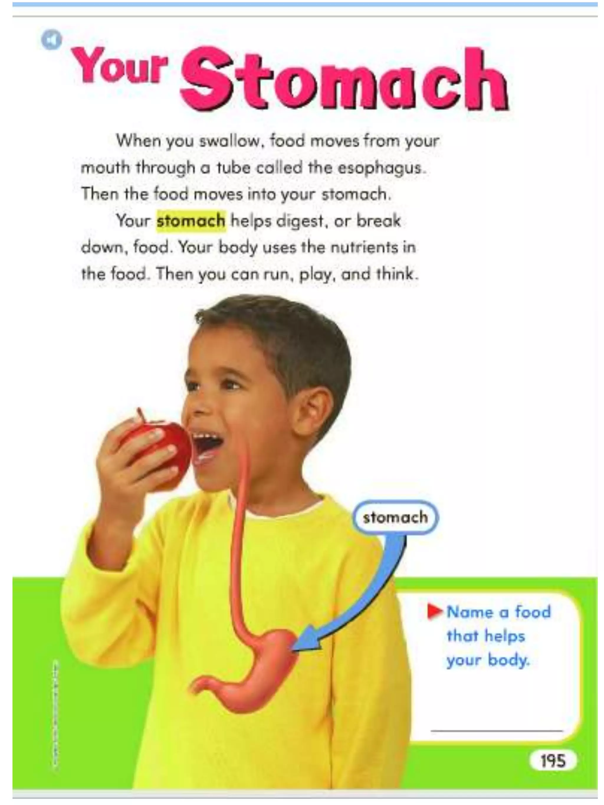 Inside your body science fusion | PPTX