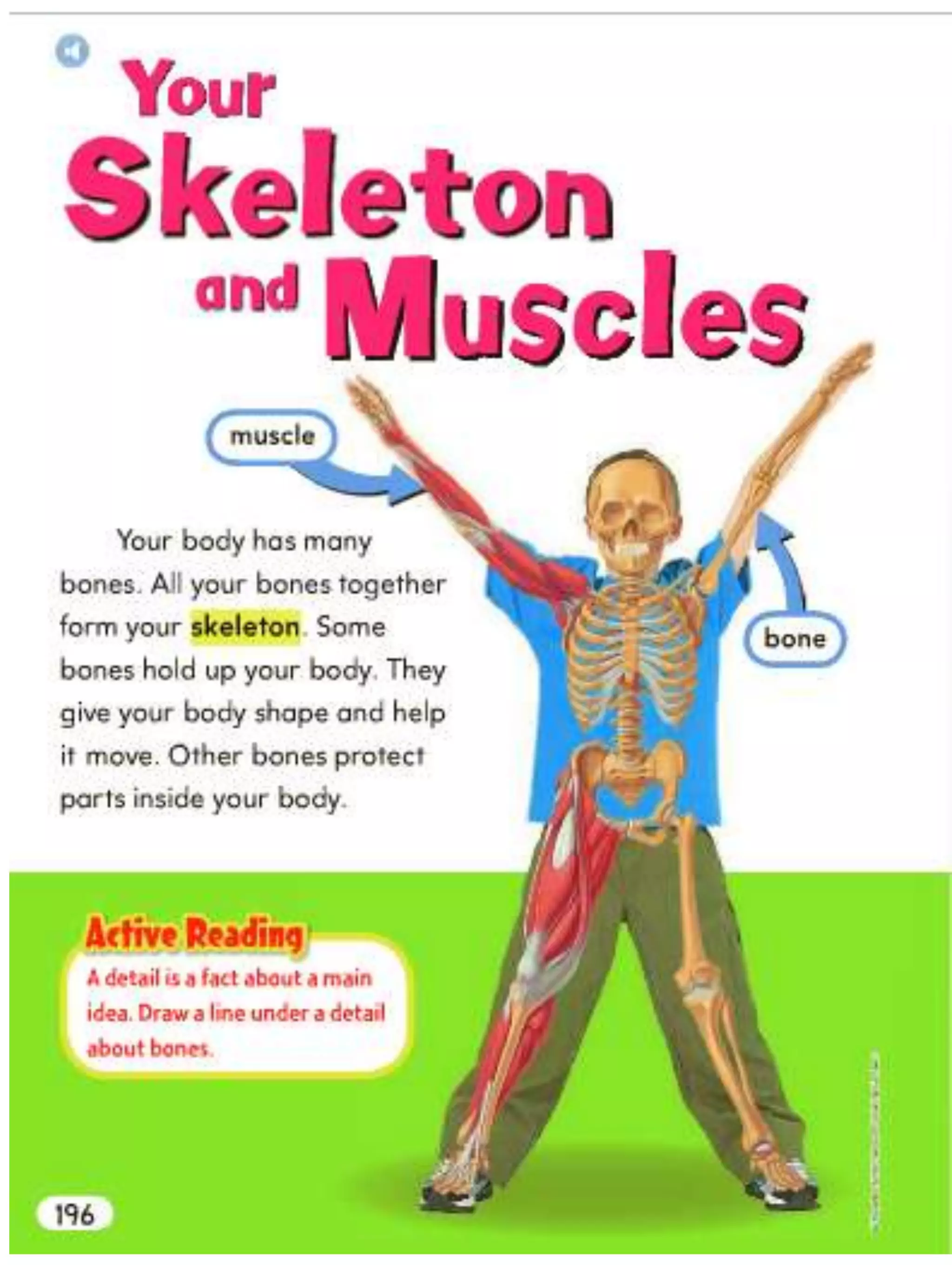 Inside your body science fusion | PPTX