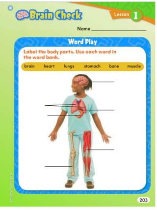 Inside your body science fusion | PPTX