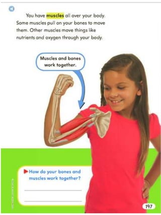 Inside your body science fusion | PPTX