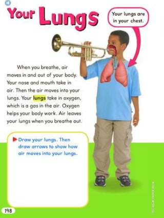 Inside your body science fusion | PPTX