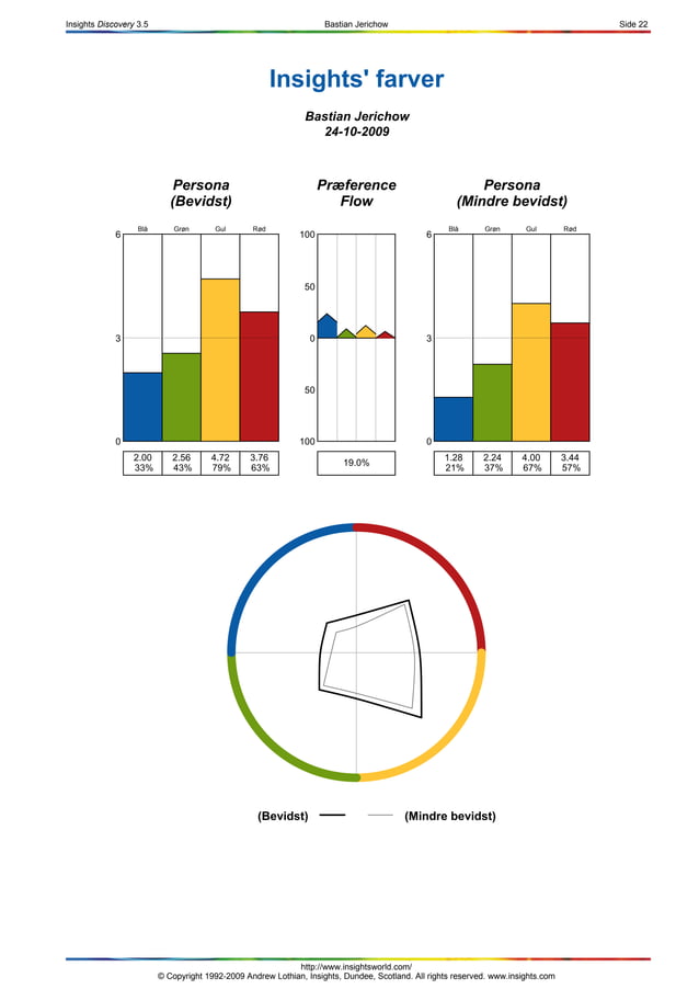 Insights Discovery Profile: Motivating Inspirer | PDF