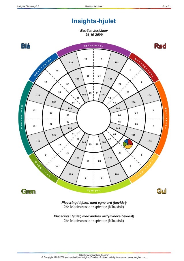 Insights Discovery Profile: Motivating Inspirer