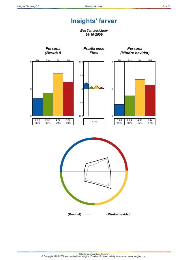 Insights Discovery Profile: Motivating Inspirer