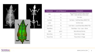 iNSiGHT DEXA ----- Live Lab Demonstration | PDF