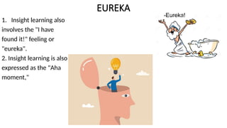 Insightful learning in Educational Psychology.pptx