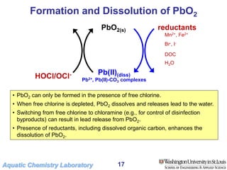 Insight H20- From Plant to Tap- Optimizing Drinking Water Distribution ...