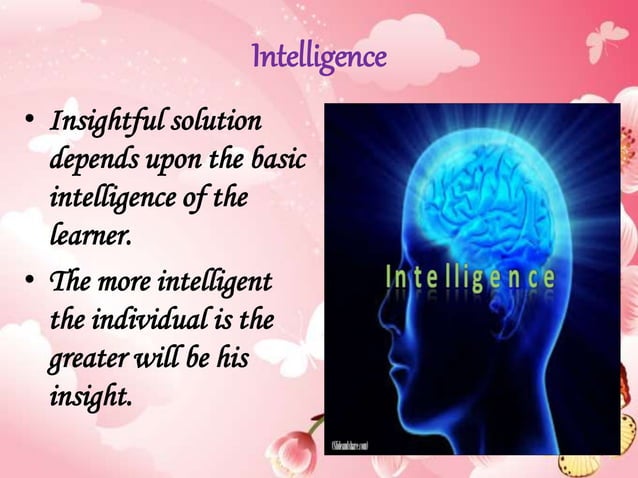 Insight learning kohler | PPTX