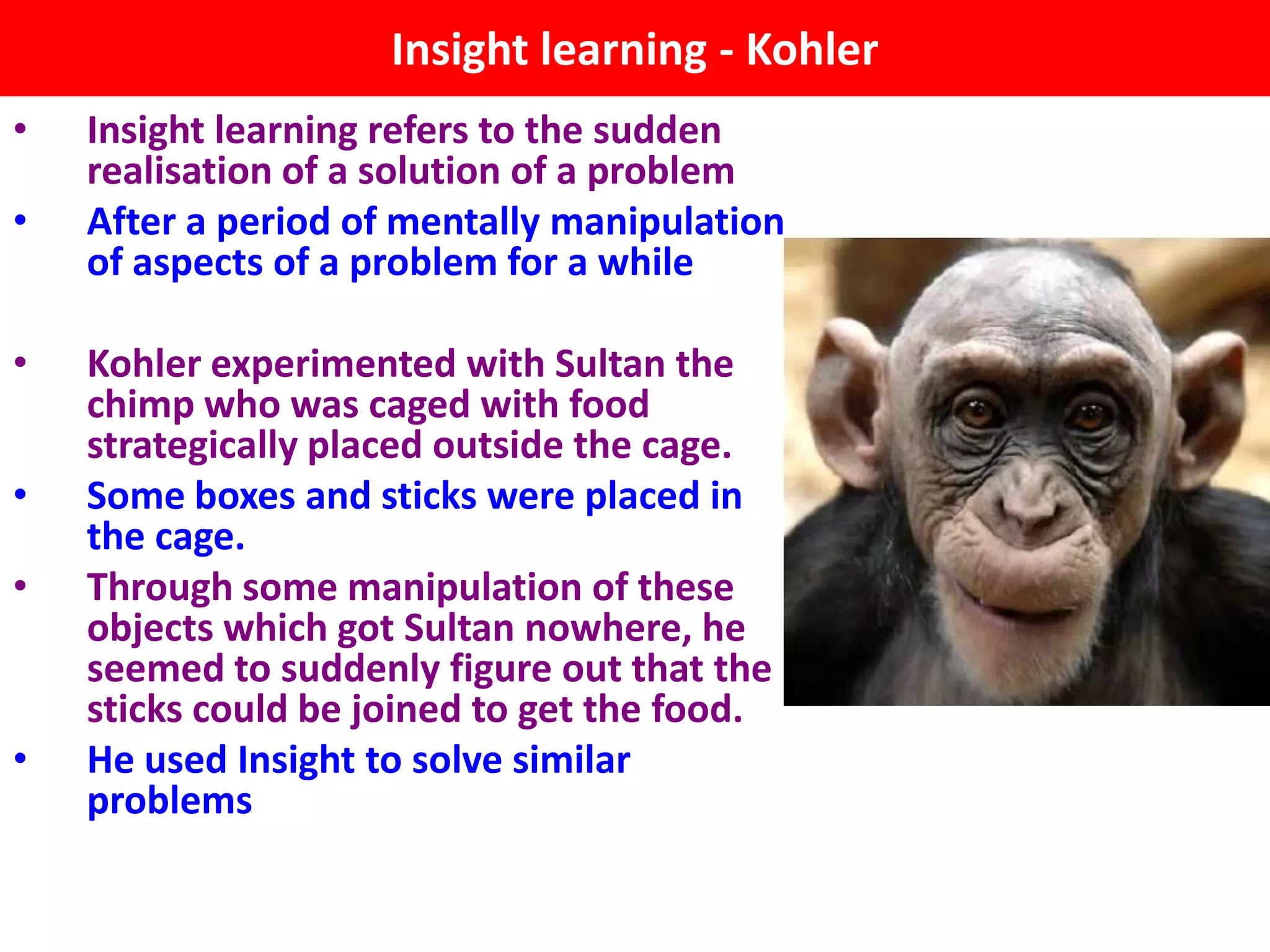 Insight learning - VCE U4 Psych | PPTX