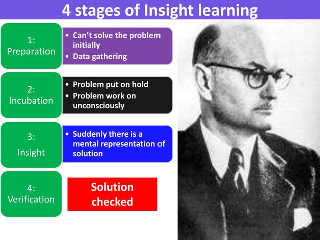 Insight learning - VCE U4 Psych | PPTX