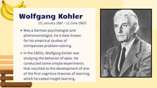 Insight Learning Theory.pdf