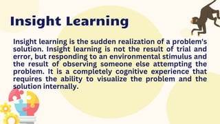 Insight Learning Theory.pdf