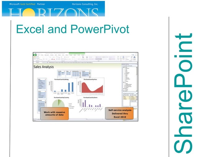 SharePoint 2010: Business Insights | PPT