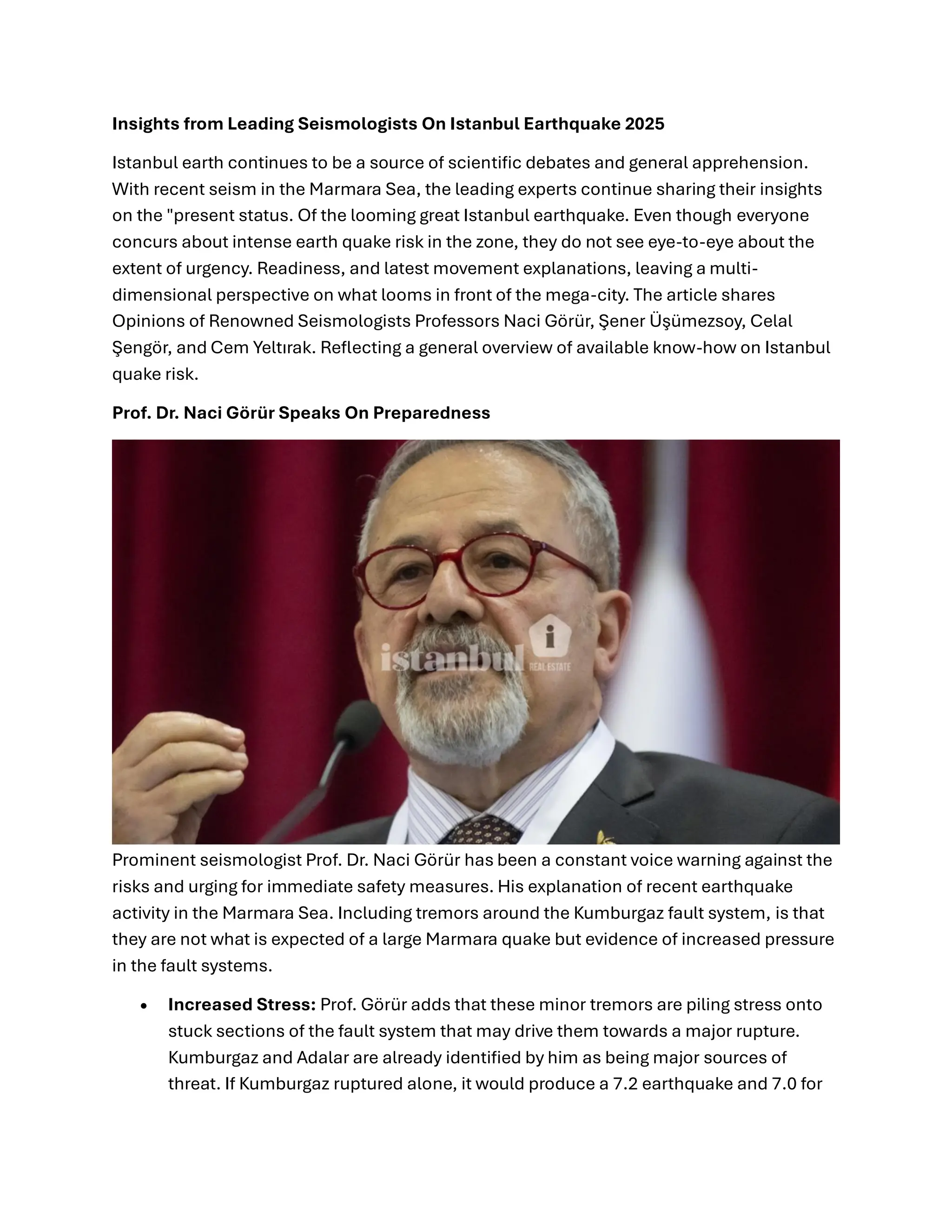 Insights from Leading Seismologists On Istanbul Earthquake 2025.pdf