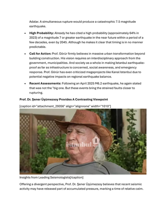 Insights from Leading Seismologists On Istanbul Earthquake 2025.pdf