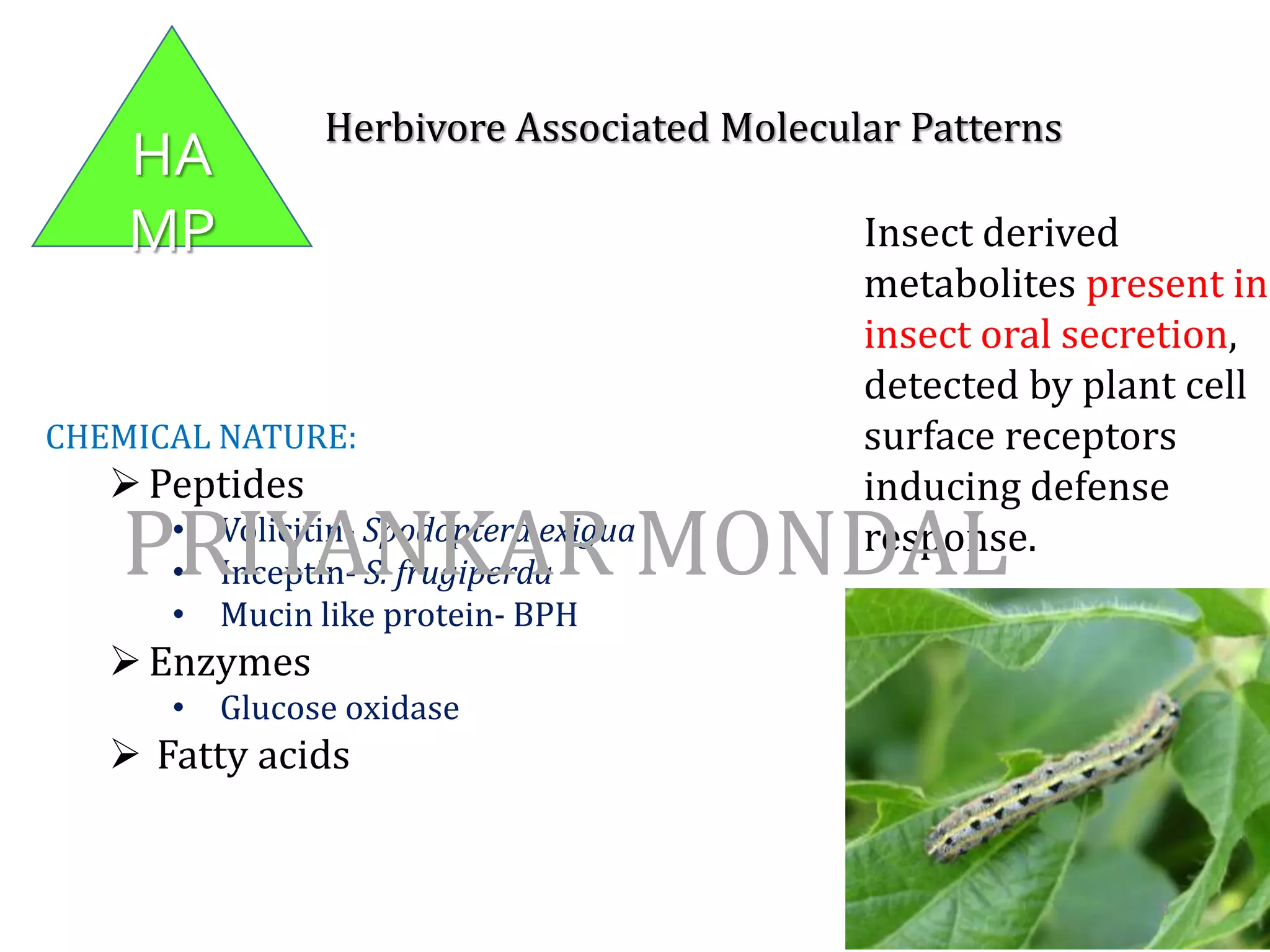 Insights into HIPVs: Biosynthesis and role in plant defense | PPT