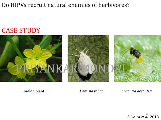 Insights into HIPVs: Biosynthesis and role in plant defense | PPT