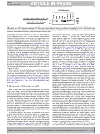 Insights into the function of IgD | PDF