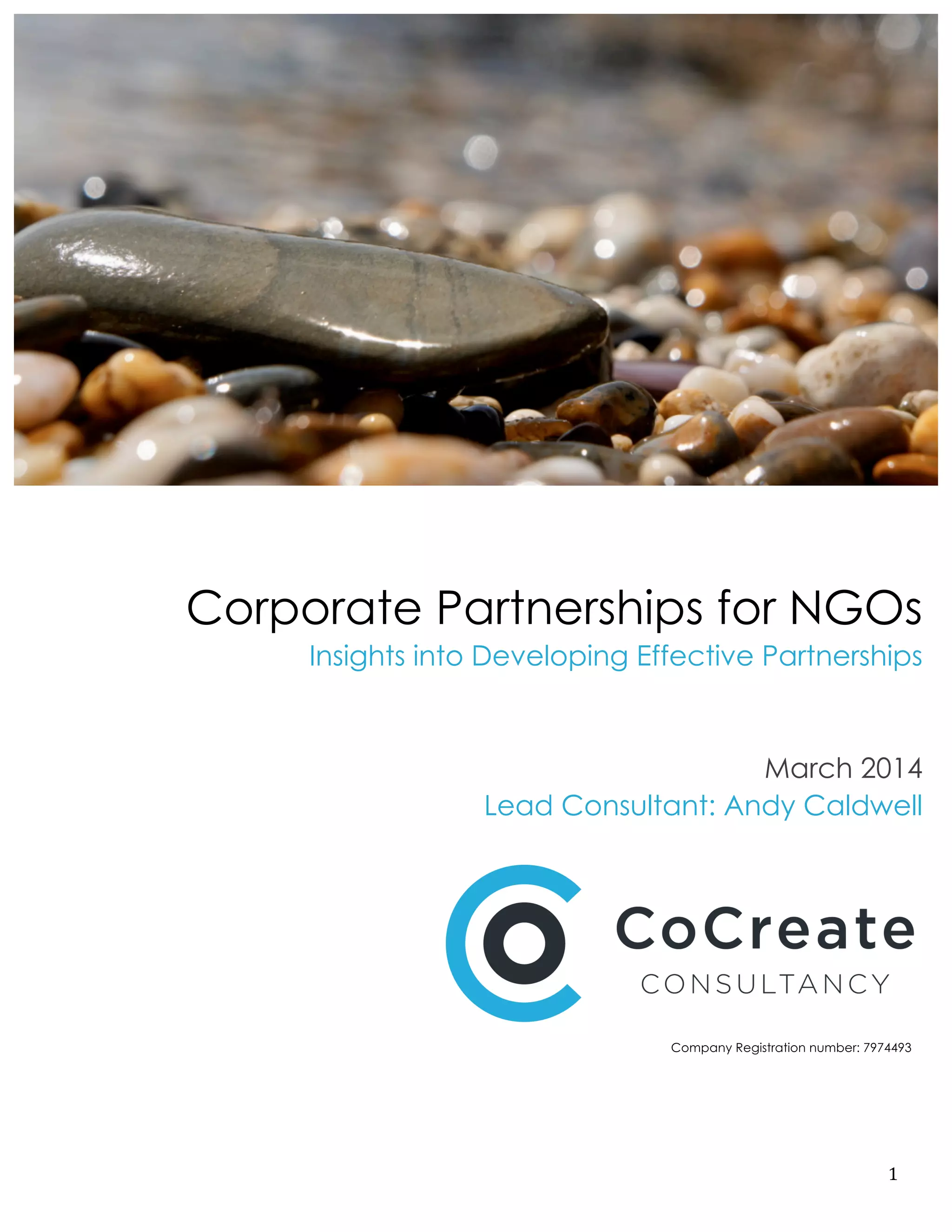 CoCreate Insights Report: Corporate-NGO Partnership Trends | PDF
