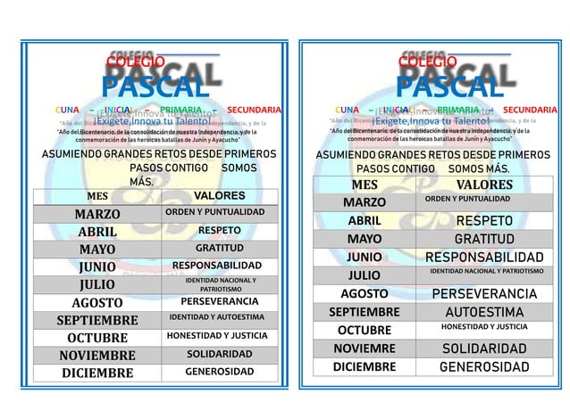 INSIGNIA-CARATULA Y DECALOGO 2024[1].docx