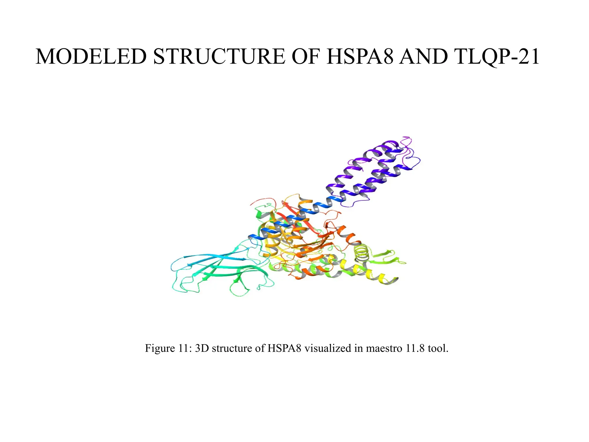 IN SILICO CHARACTERIZATION_Bioinformatics.pptx