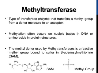 In silico discovery of dna methyltransferase inhibitors 05 05 (1) (1 ...
