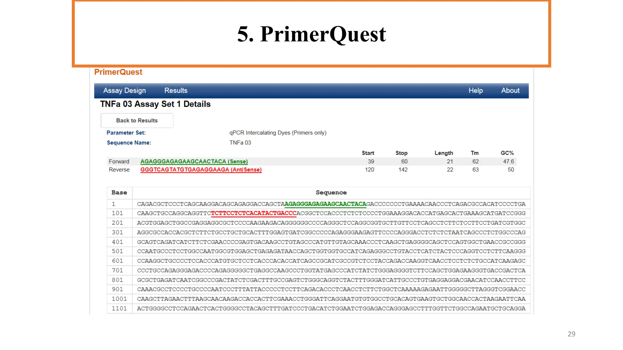 INSILICO_PCR_&_PRIMER_DESIGN_methods.pptx | Biological Sciences | Science