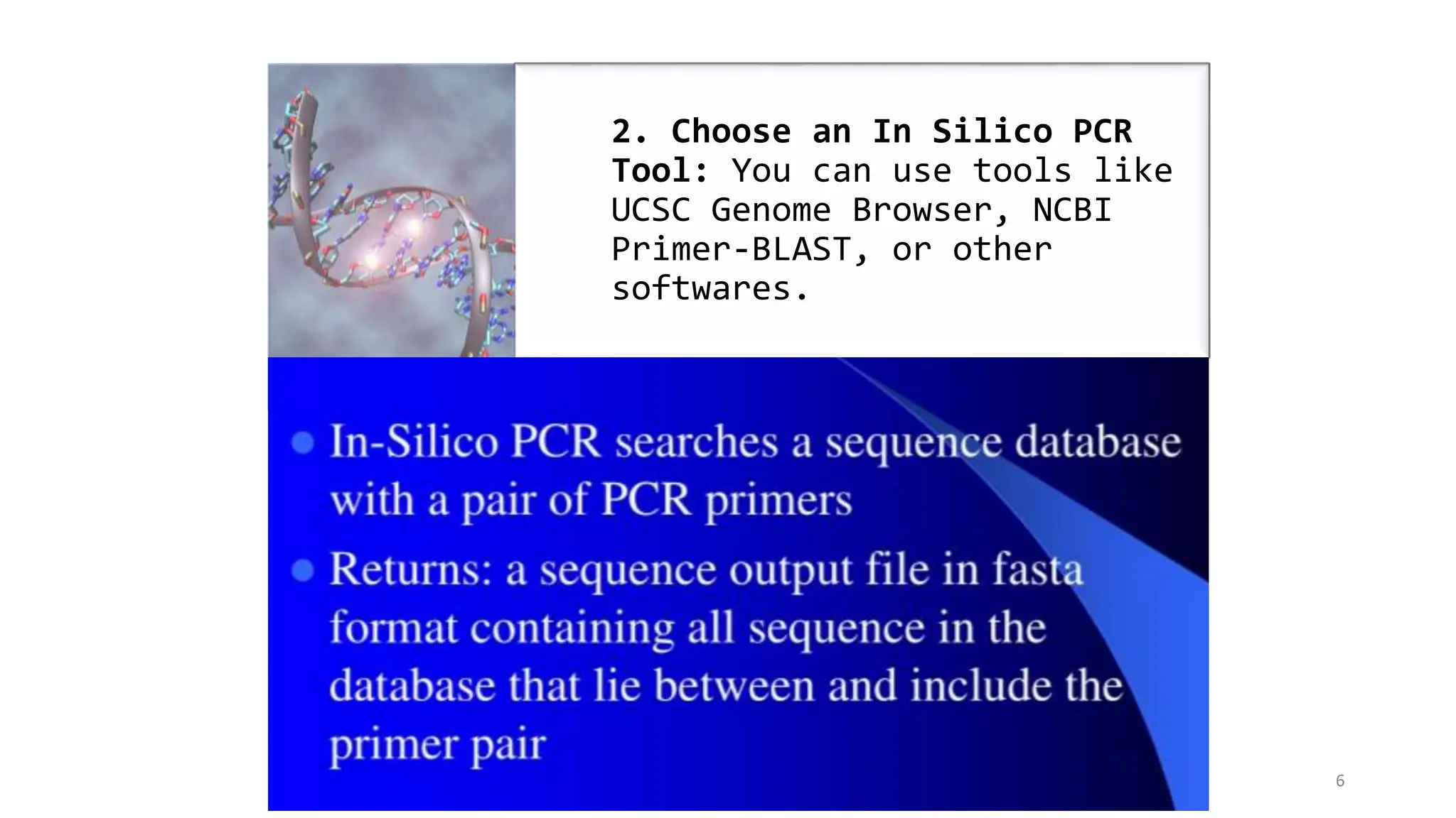 INSILICO_PCR_&_PRIMER_DESIGN_methods.pptx | Biological Sciences | Science