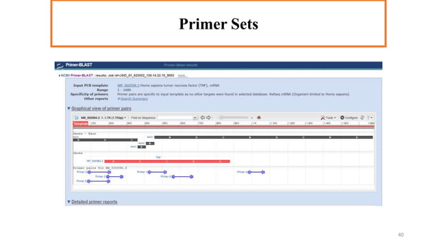 INSILICO_PCR_&_PRIMER_DESIGN_methods.pptx | Biological Sciences | Science