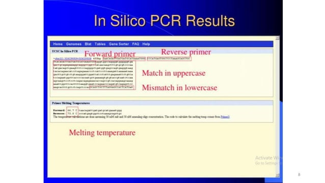 INSILICO_PCR_&_PRIMER_DESIGN_methods.pptx | Biological Sciences | Science