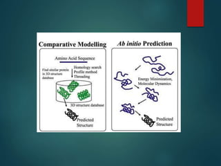 In silico structure prediction | PPTX