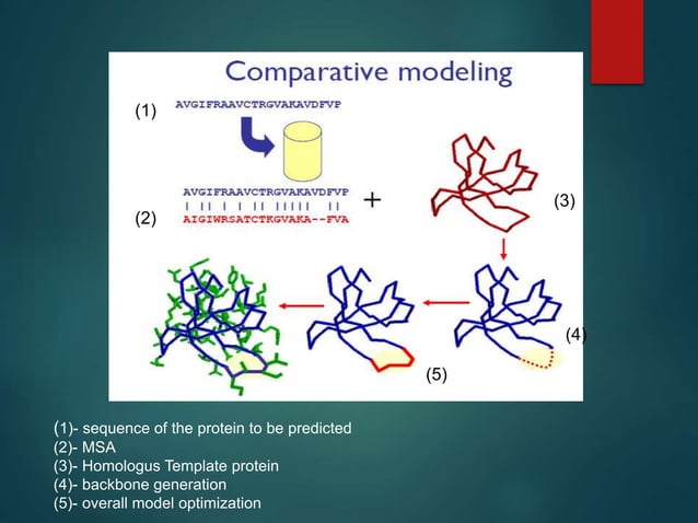 In Silico Structure Prediction