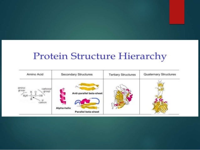 In Silico Structure Prediction