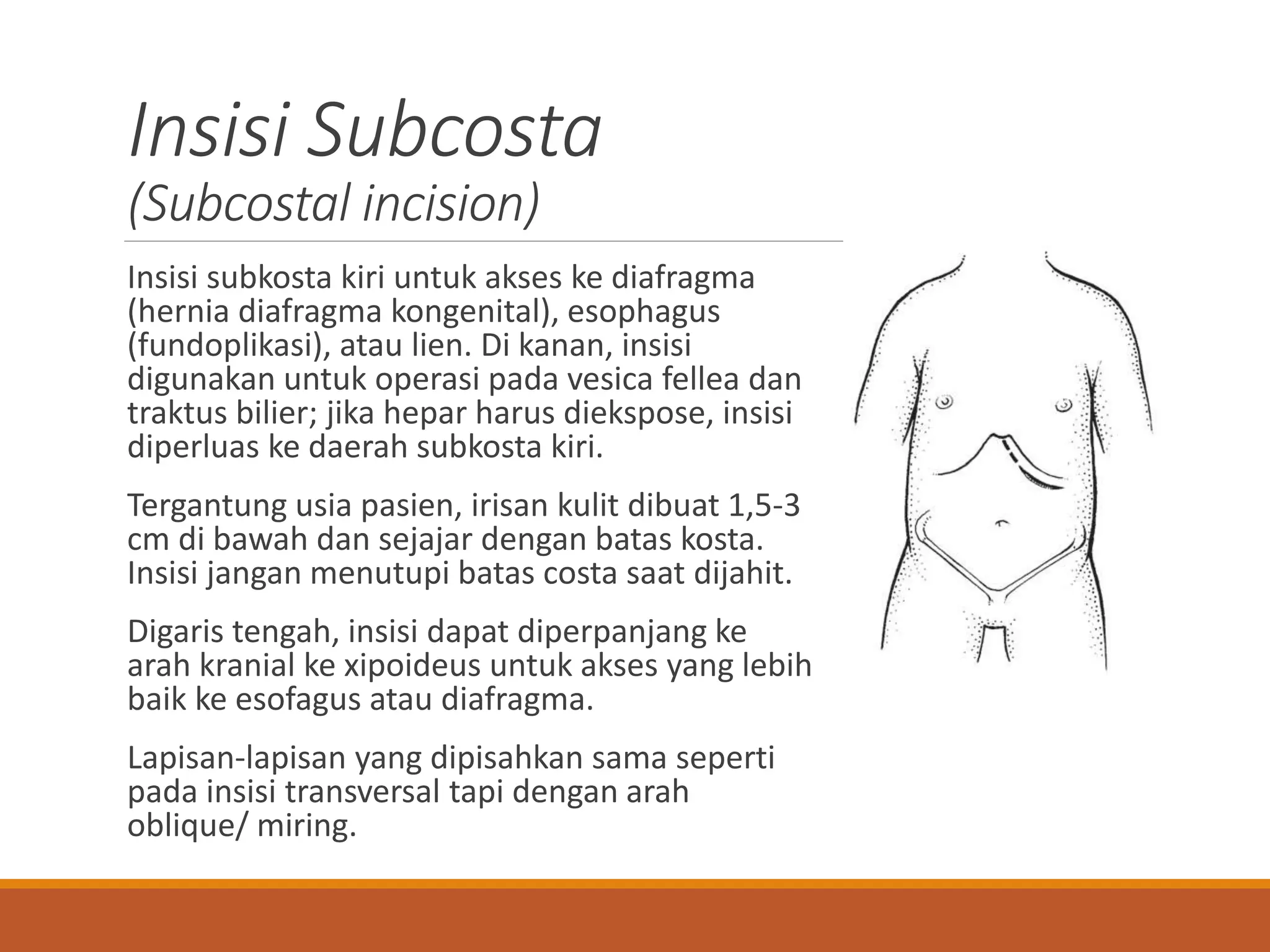 Insisi abdomen pada anak | PPTX