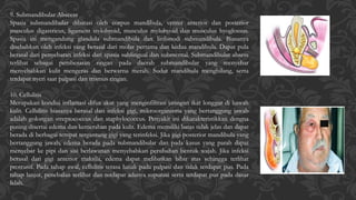 INSISI ABSES drg.Harijadi .pptx