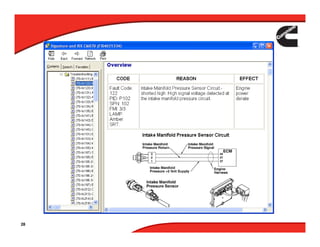 INSITE Overview.pdf