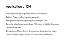 In situ hybridization | PPTX