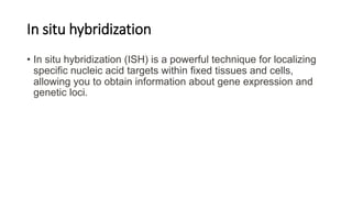 In situ hybridization | PPTX