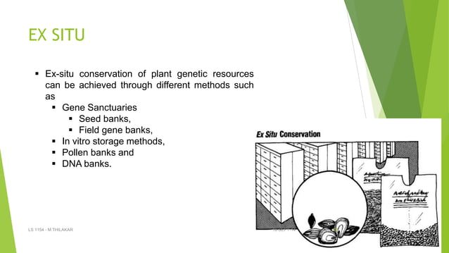 In situ and ex situ conservation | PPSX