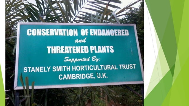 In situ and ex situ conservation | PPSX